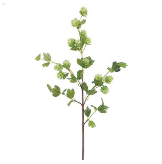 36" Hop Spray – House of Blum
