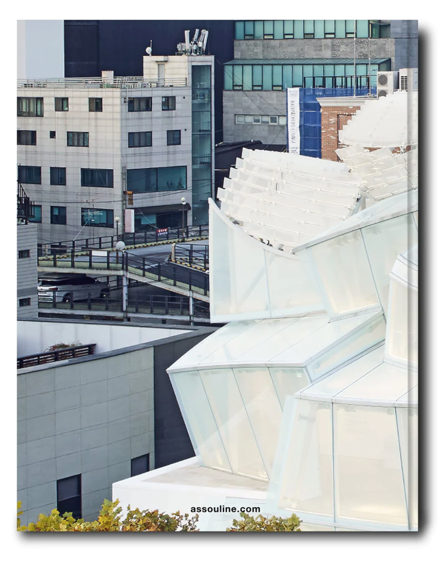 Louis Vuitton Skin: Seoul Edition – House of Blum