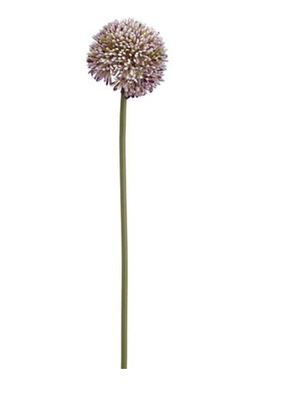 Allium Spray – House of Blum